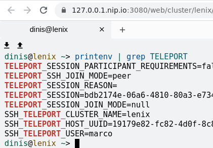 Terminal in Web UI: `_` show as spaces · Issue #29126 · gravitational/teleport · GitHub