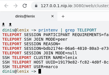 Terminal in Web UI: `_` show as spaces · Issue #29126 · gravitational ...