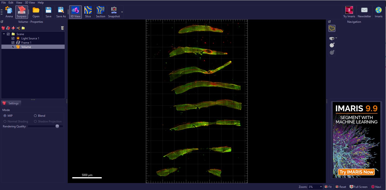 GitHub - tischfieldlab/ImarisXtensions