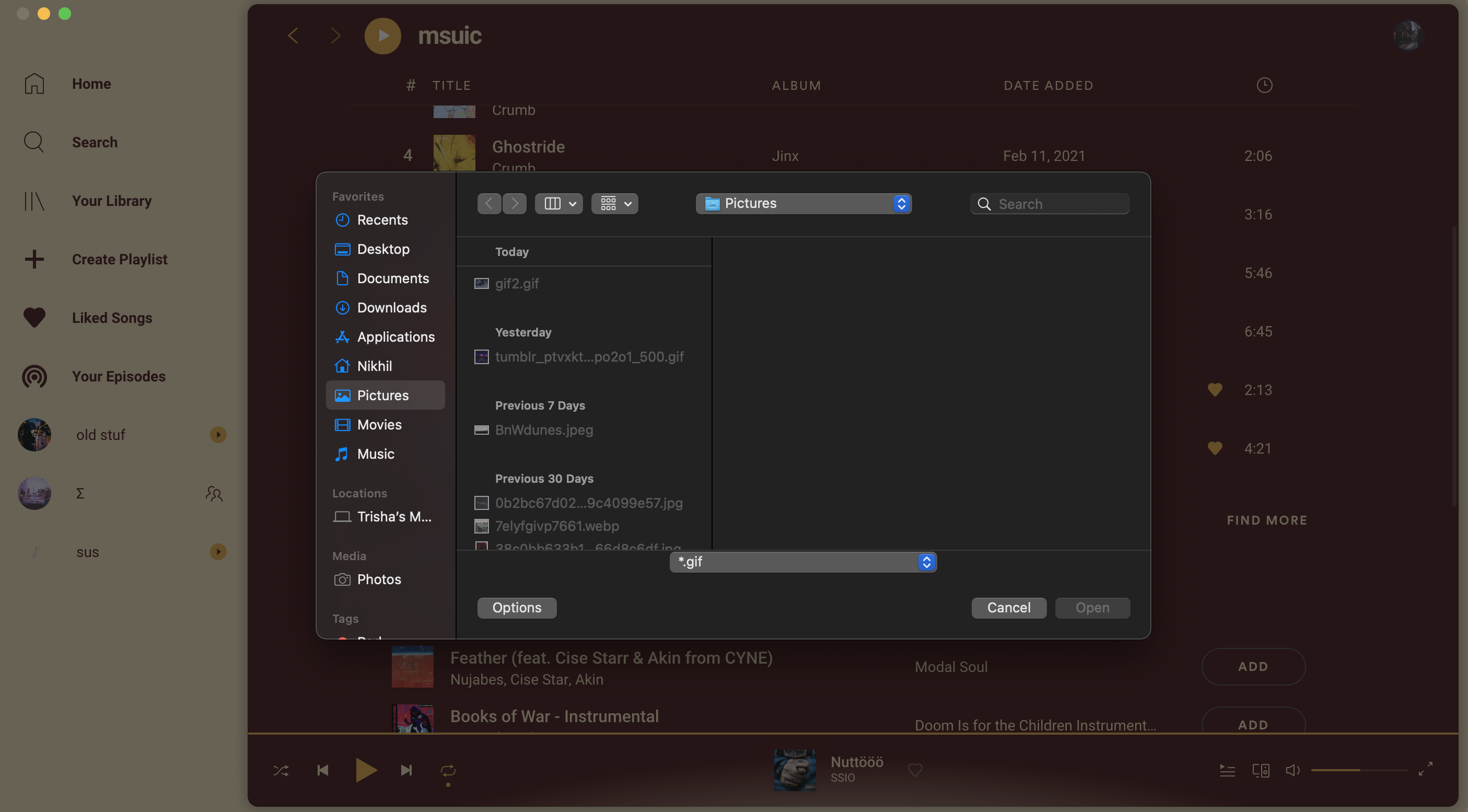Unable to select gifs as folder image · Issue #500 · spicetify/spicetify-themes · GitHub