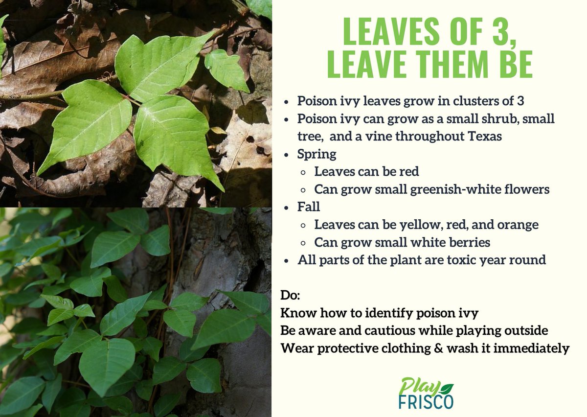 Poison-Ivy-Identification/README.md at main · aartinayak/Poison-Ivy-Identification · GitHub