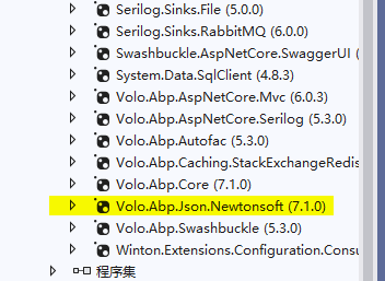 use Newtonsoft replace System.Text.Json exception Could not load type Volo.Abp ...