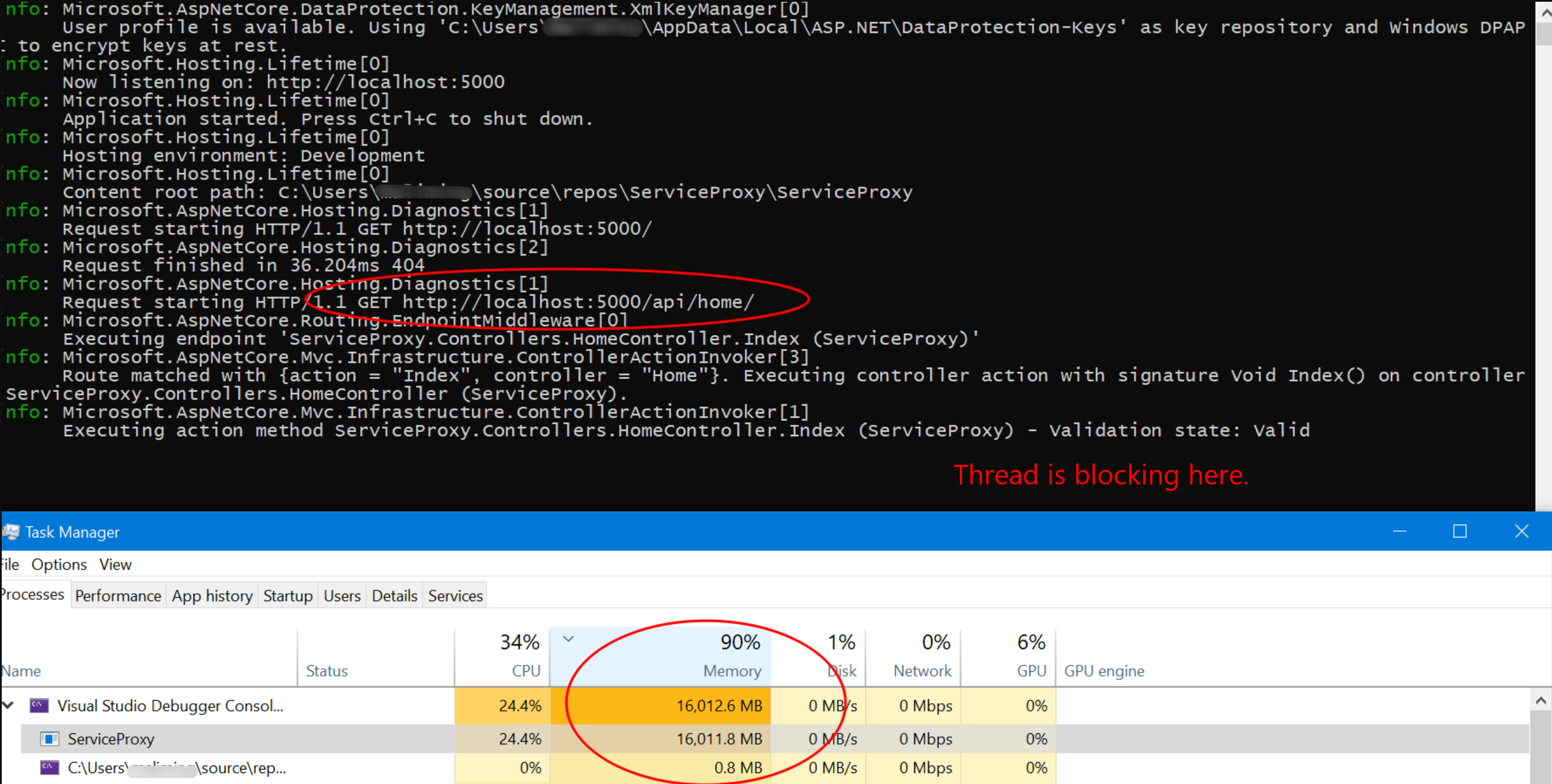 Accessing the properties of the IApiDescriptionGroupCollectionProvider is blocking threads and ...