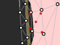 [BUG] Undoing moving vertices in a mesh doesn't move the red dots back · Issue #200 · Inochi2D ...
