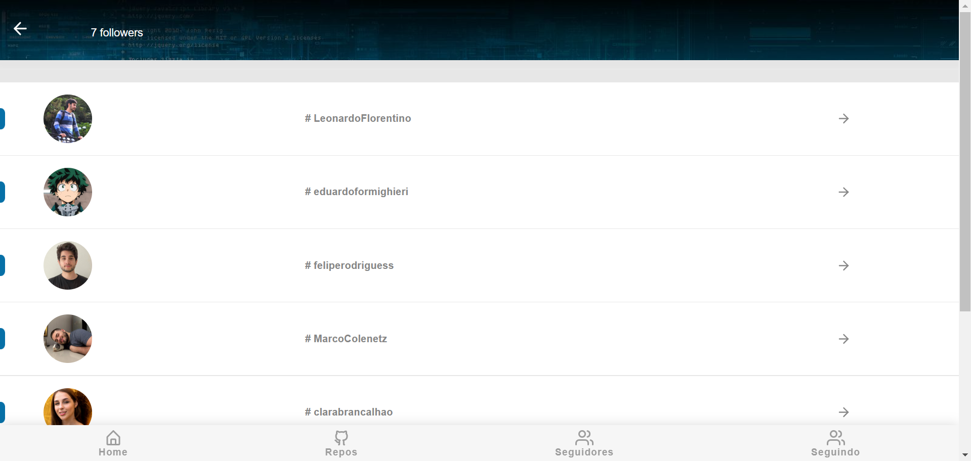 GitHub - ElisaFormighieri/Github-Project-API