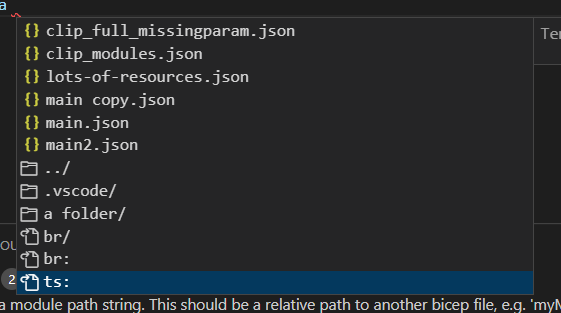 Should Module Aliases Come First In Completion Before Local Bicepjson Files · Issue 10199 