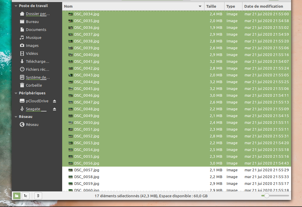 Nemo in Mint Cinnamon not showing right number of selected files in folder with lots of pictures ...