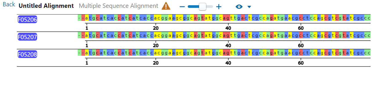 DNA colors not aligning to sequence on the sequence alignment tool ...