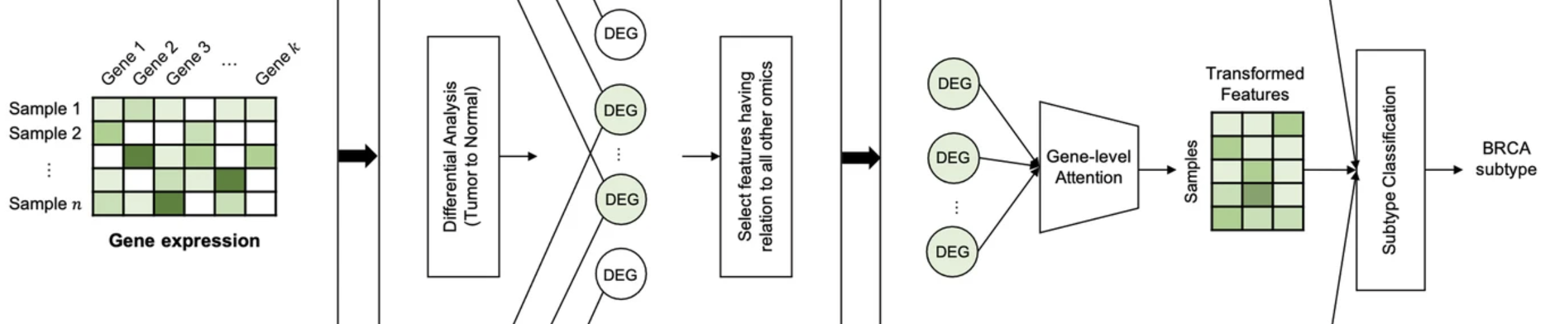 GitHub - HyunSBong/CVAE-Transformer-BRCA: Research on subtype ...