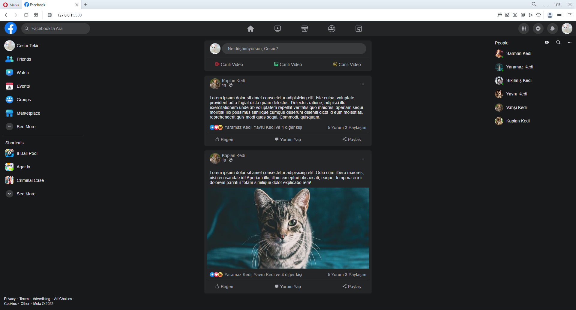 GitHub - ahmetyasir99/CloneFacebook-HTML-CSS