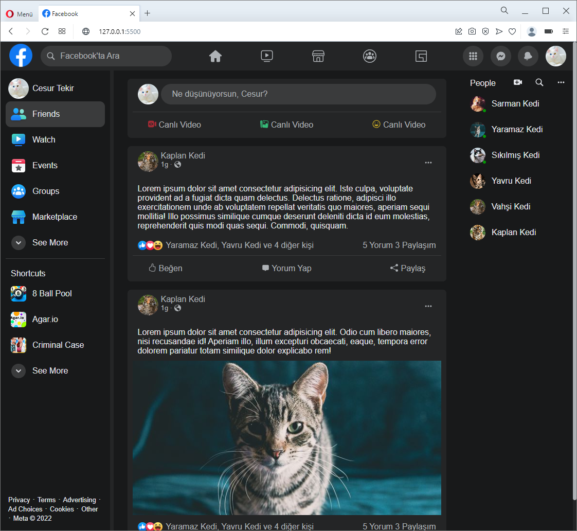 GitHub - ahmetyasir99/CloneFacebook-HTML-CSS