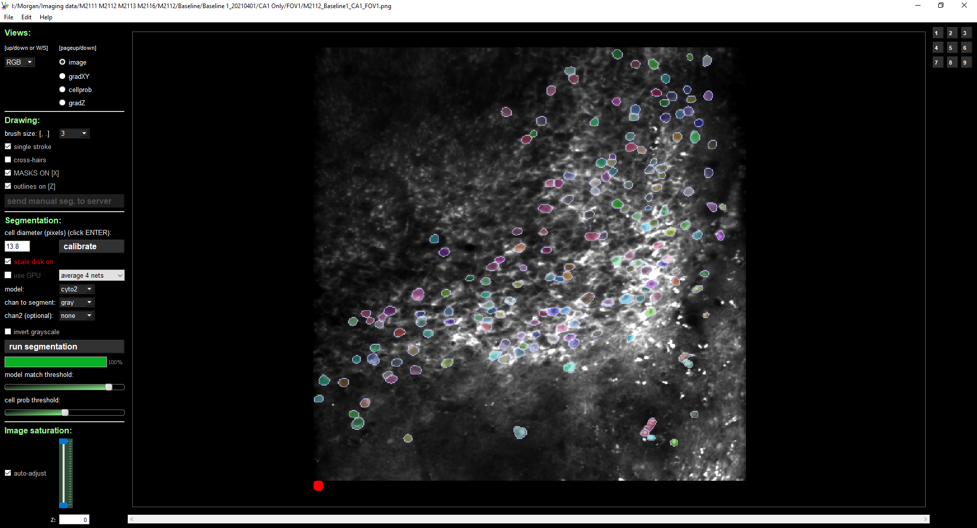 running anatomical_only gives an error · Issue #736 · MouseLand/suite2p · GitHub
