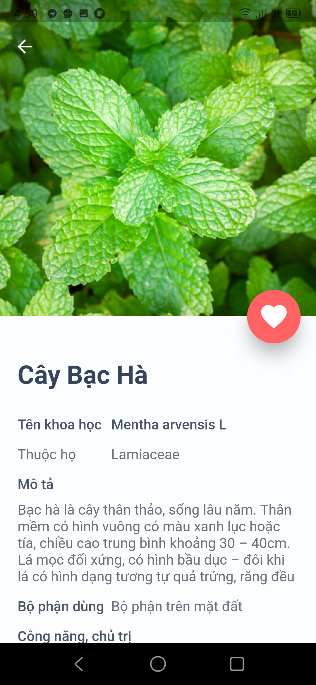 GitHub - perovenus/flutterapp