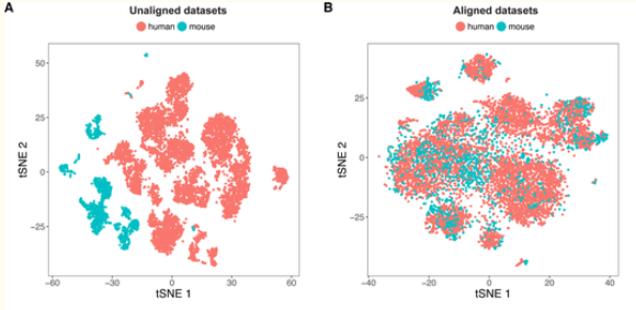 FindIntegrationAnchors - Error 'x' must be atomic · Issue #4248 · satijalab/seurat · GitHub