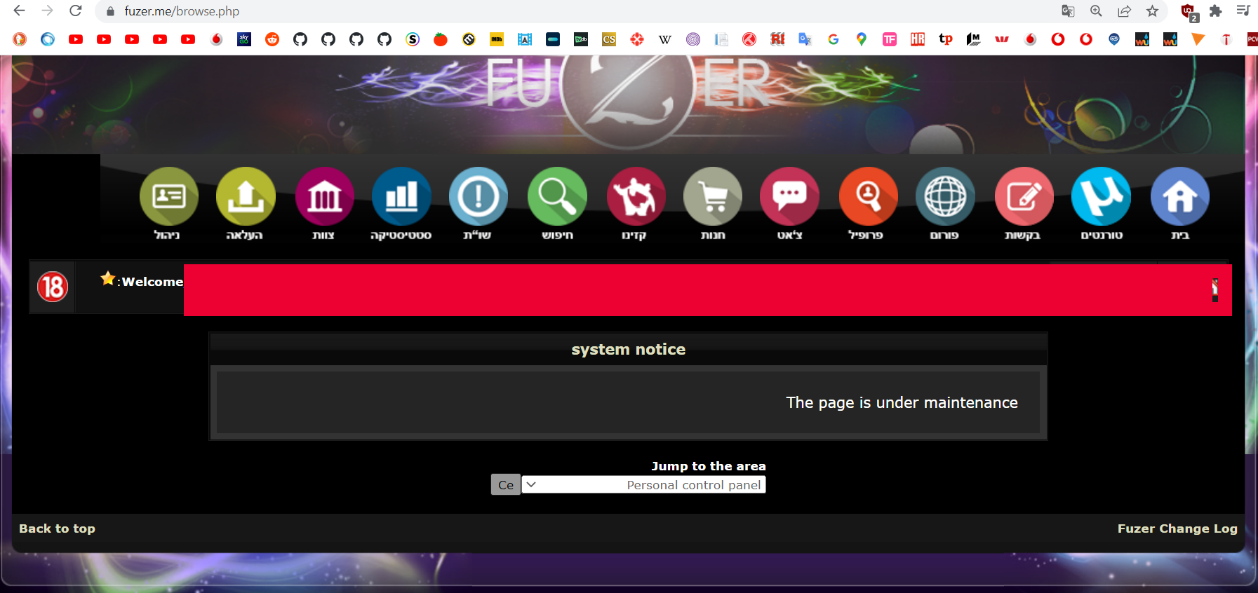 [fuzer] offline · Issue #13176 · Jackett/Jackett · GitHub
