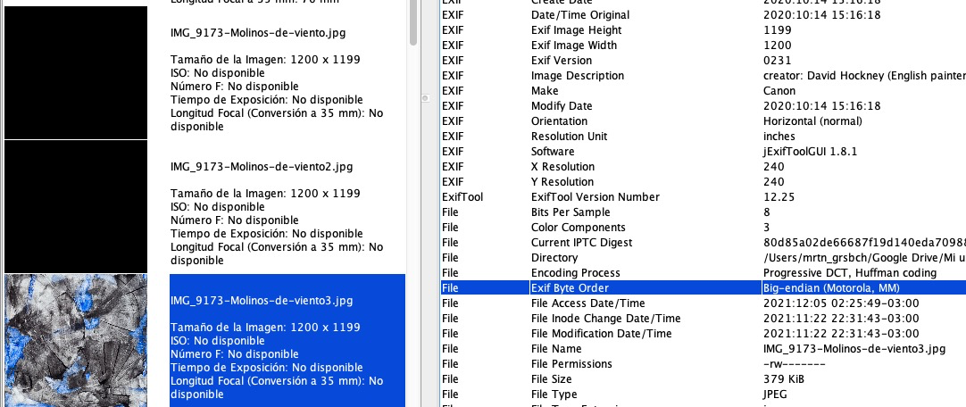 New functionality: the right direction? · Issue #189 · hvdwolf/jExifToolGUI · GitHub