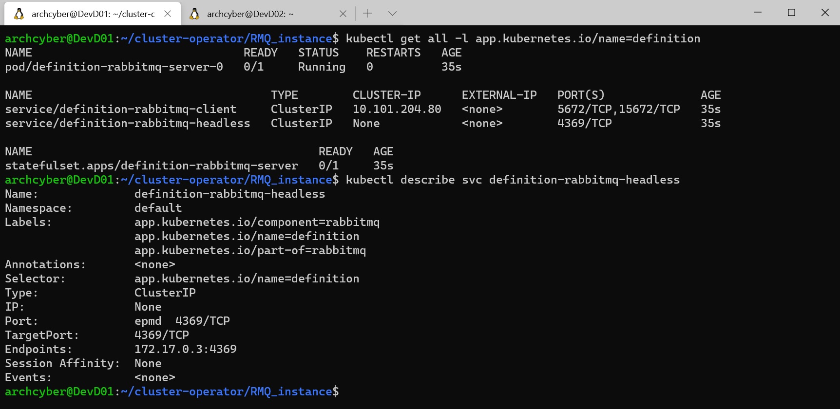 Using Rabbitmq Cluster Kubernetes Operator Step By Step But Failed To