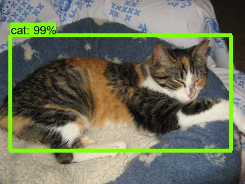 GitHub - CMDTausif/Animal-Detection-Using-Tensorflow-Object-Detection ...