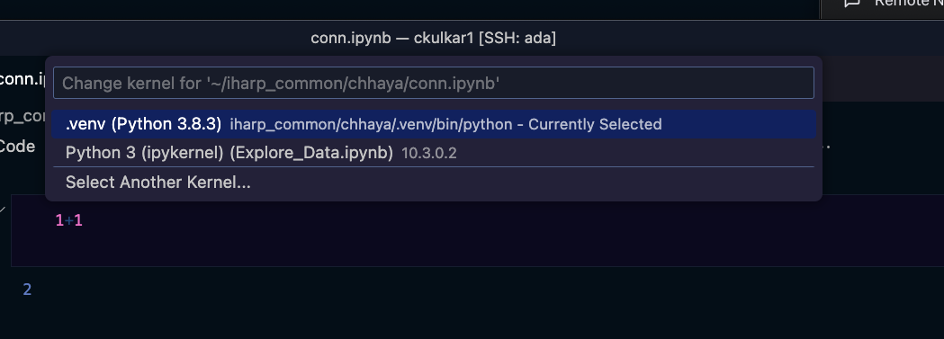 Unable to nuke zombie/ghost kernel when remoting via ssh · Issue #14267 · microsoft/vscode ...