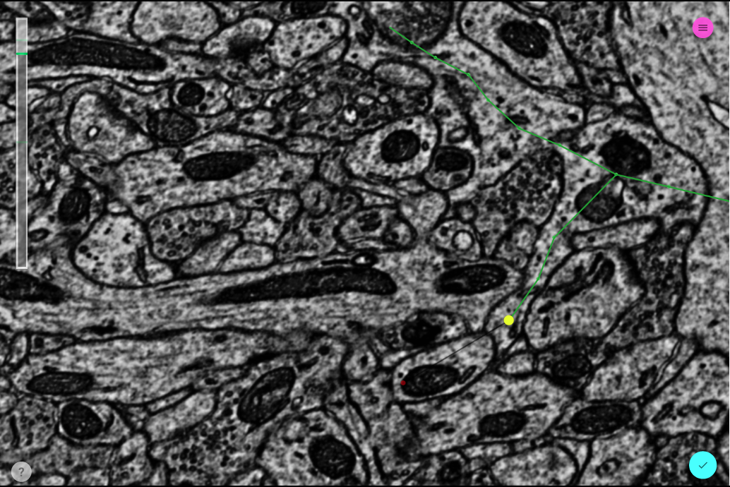 Instructions UI · Issue #103 · aplbrain/colocar · GitHub