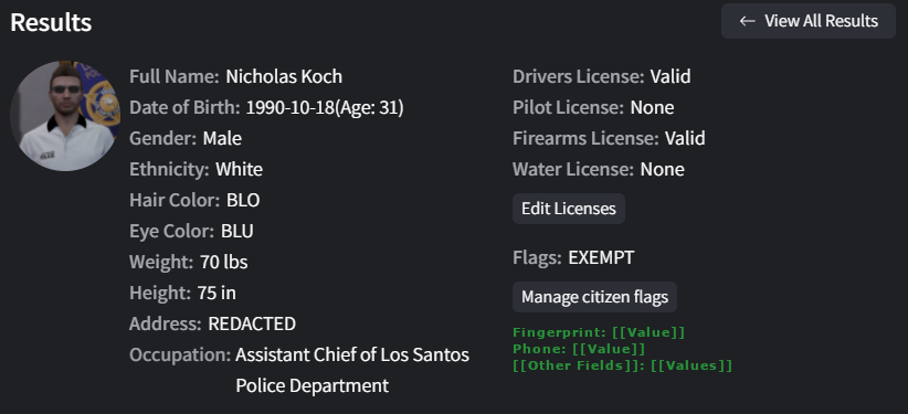 Custom Fields · Issue #553 · SnailyCAD/snaily-cadv4 · GitHub