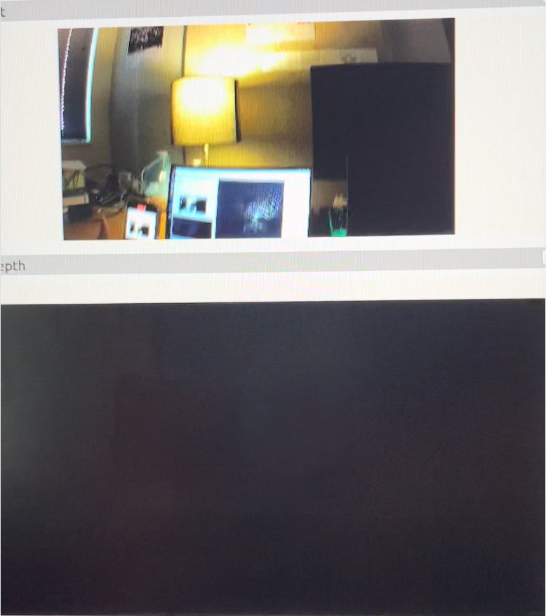 /zedm/zed_node/depth/depth_registered turning black when using ROS2 Driver · Issue #165 ...
