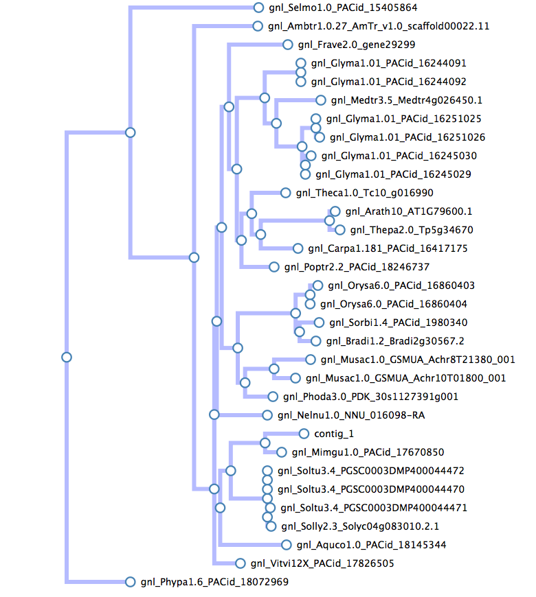 Enhancement: Add confidence level to branches in Charts Phylocanvas and Phyloviz · Issue #4171 ...