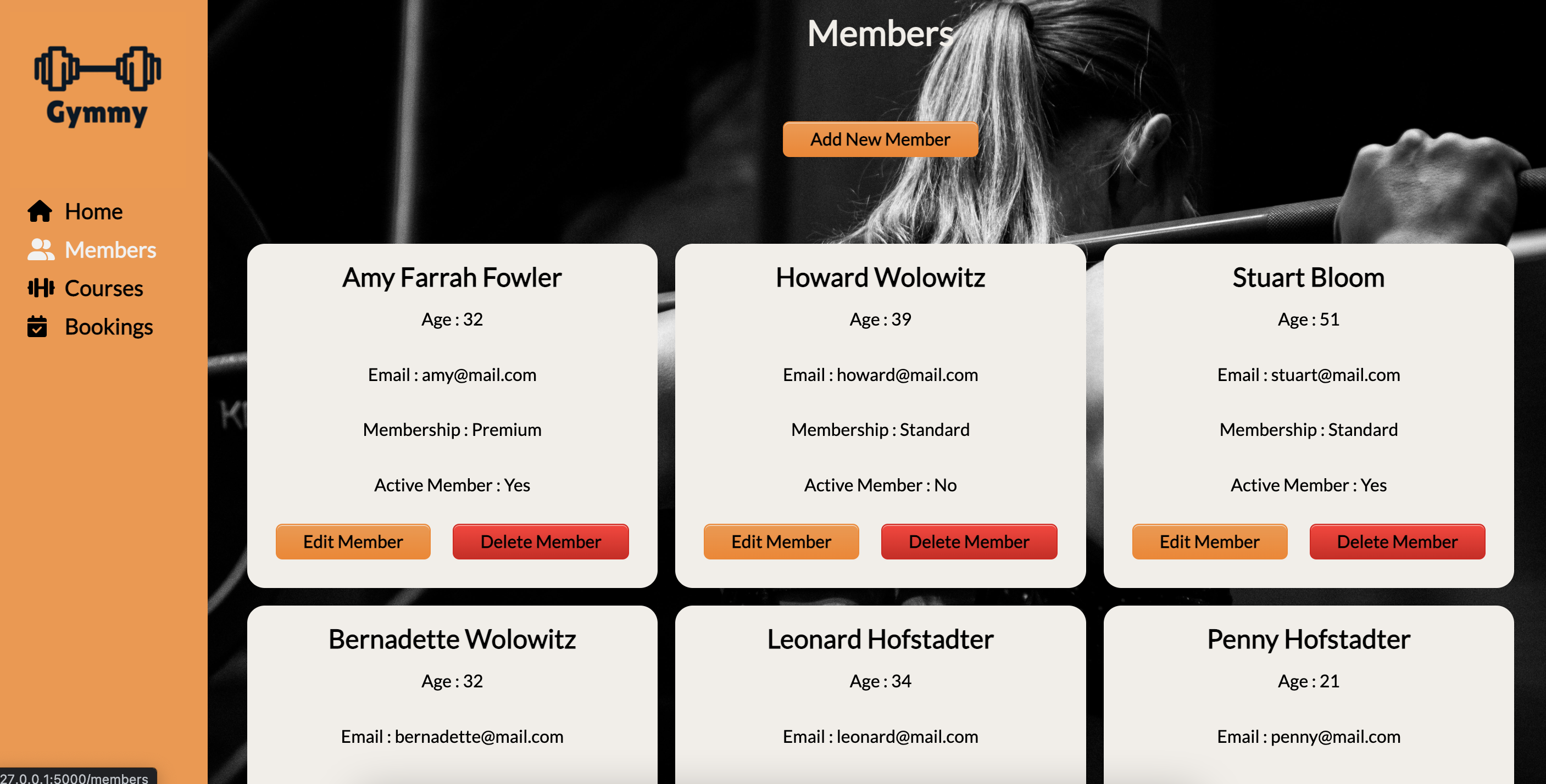 GitHub - Cetins/gymmy
