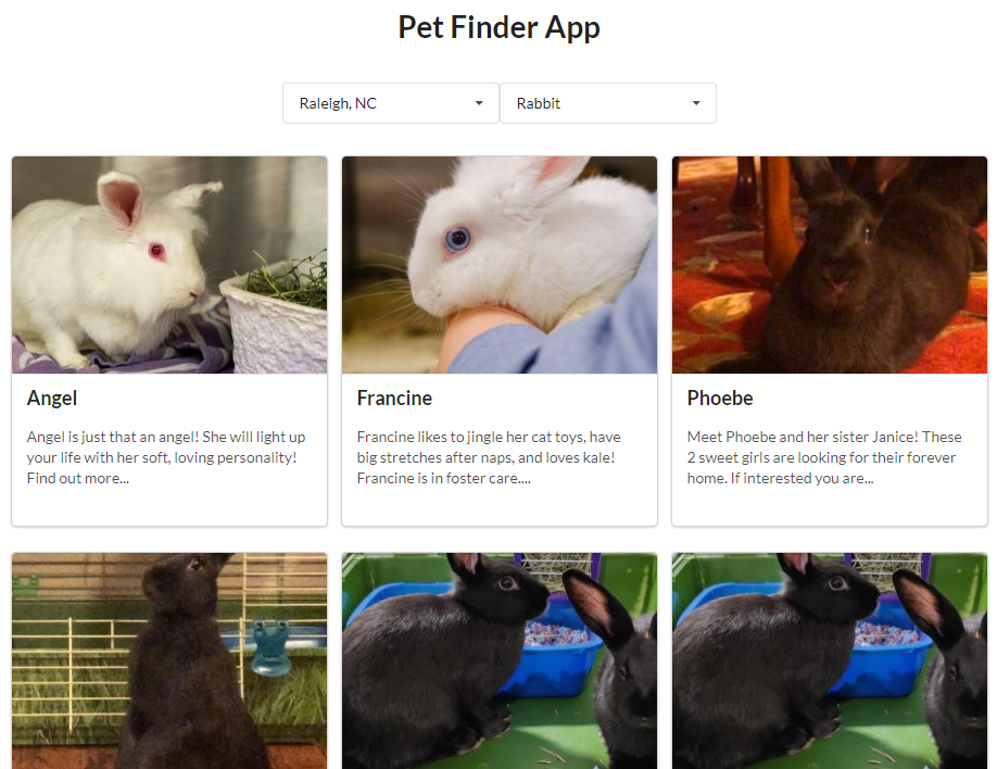 GitHub - kyle-norris/pet-finder: An app for finding adoptable pets ...