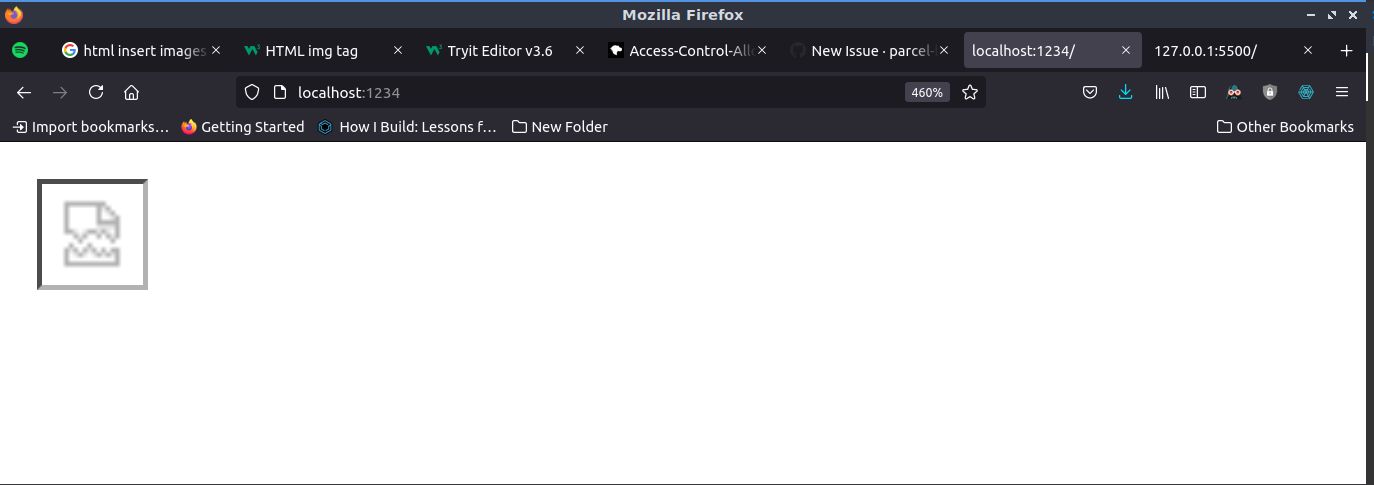 image is not displayed when serving through parcel · Issue #6503 · parcel-bundler/parcel · GitHub