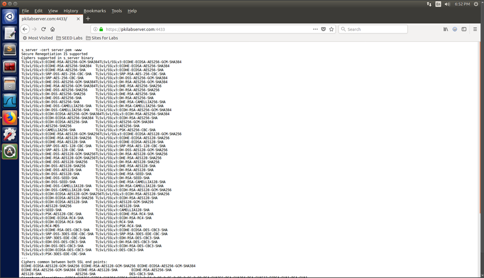 GitHub - 4gentP/Certificate_Authority_setup