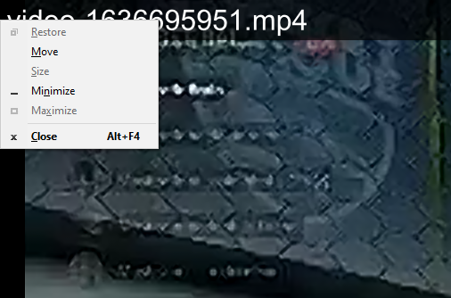 Unable to resume video with Spacebar after Win + D (Show Desktop) in mpv · Issue #11486 · mpv ...