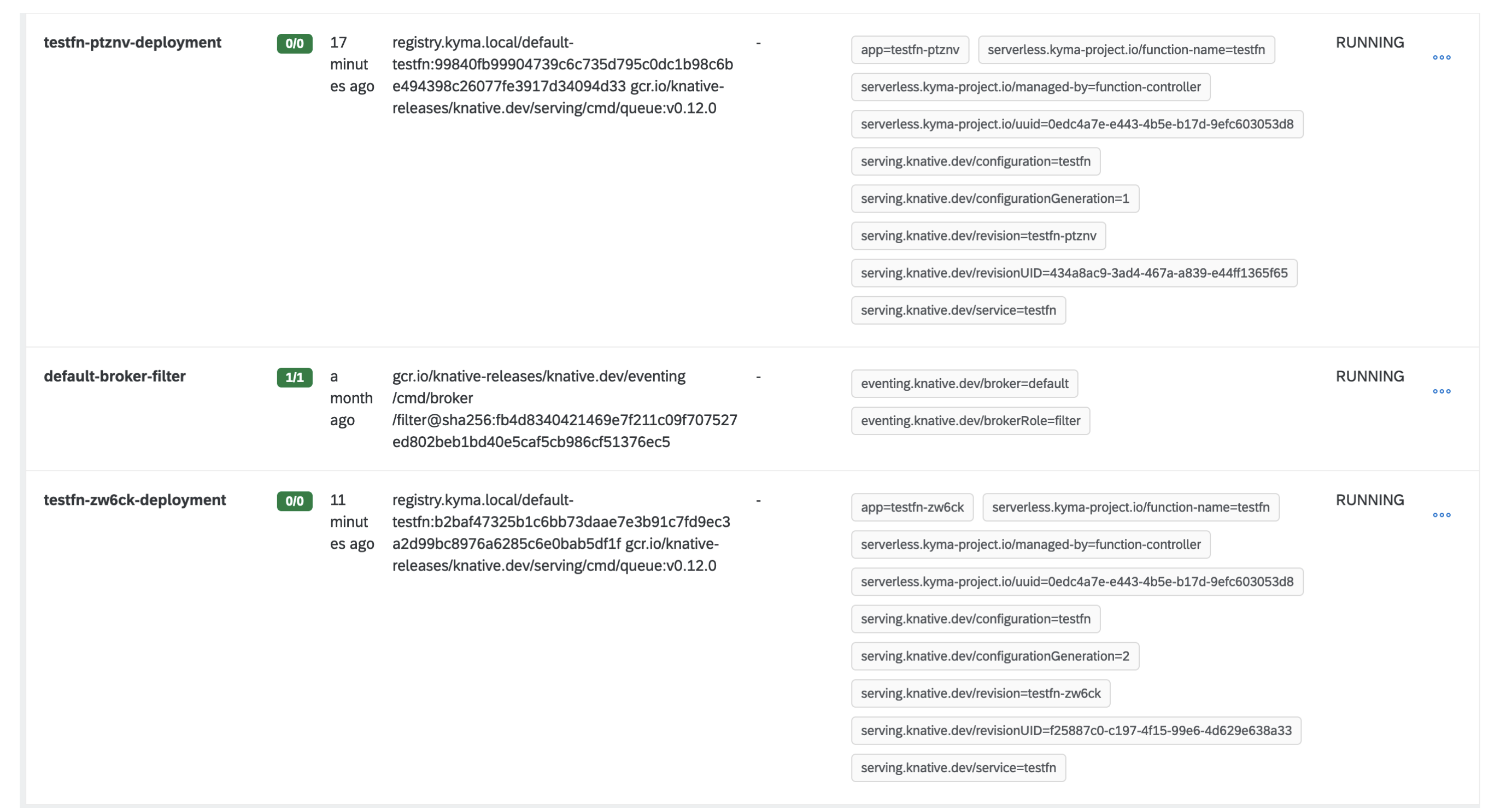 Fail To Builddeploy New Functions · Issue 9574 · Kyma Projectkyma 6969