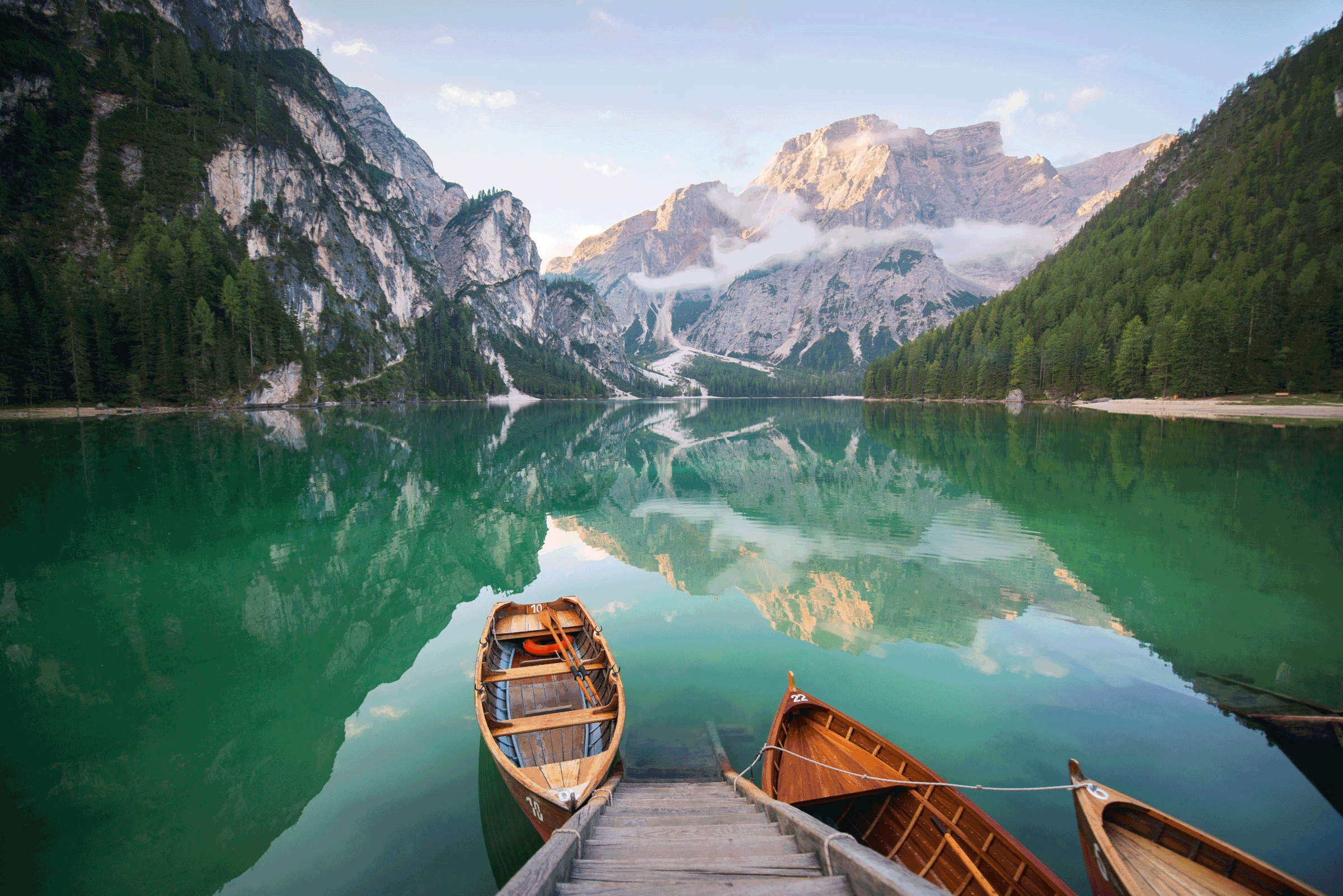 GitHub - Perelman-Tomer/Deep-StyleTransfer-CV-DL: Adopt the appearance or visual style of ...