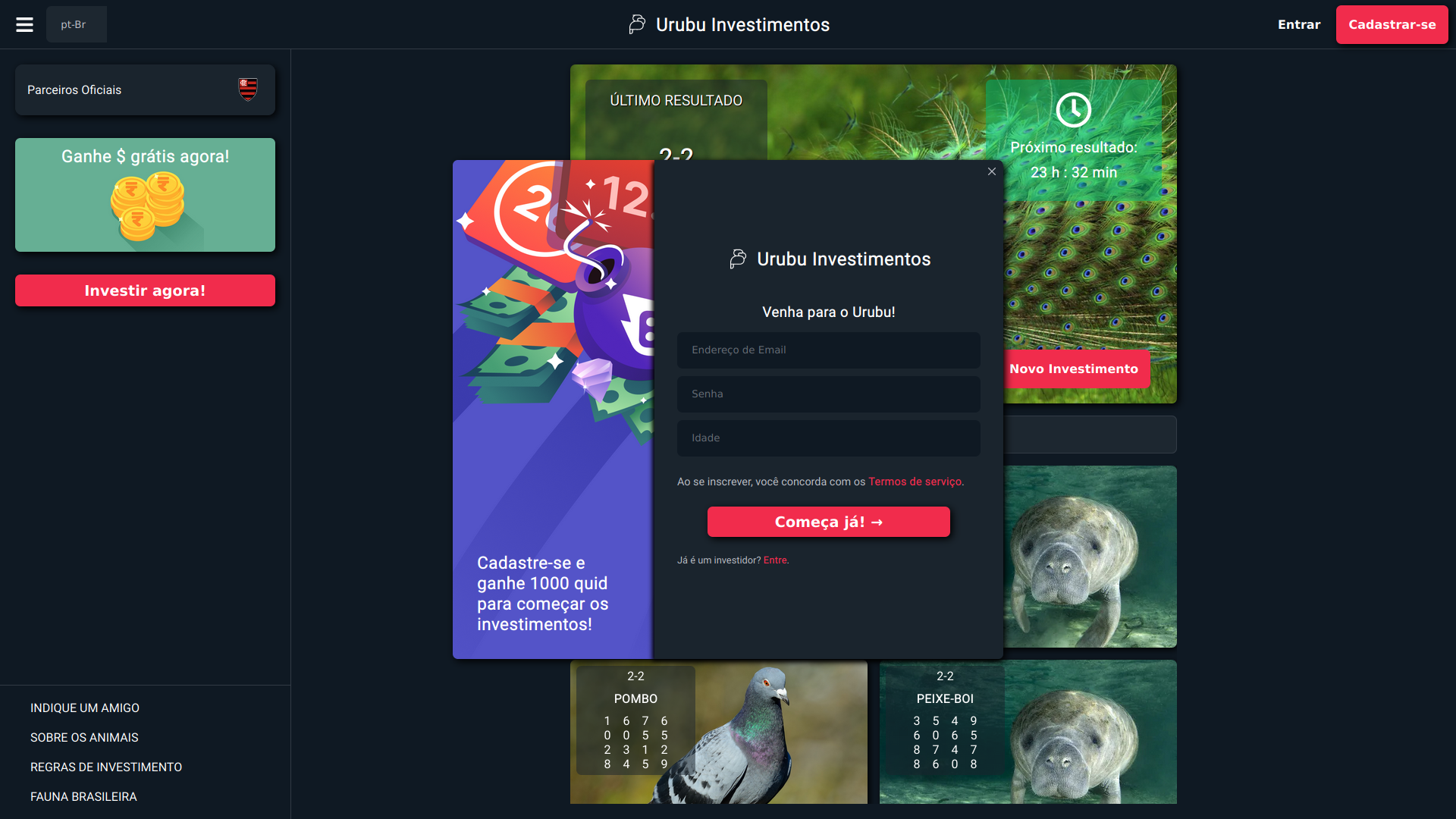 GitHub - mateus-sartorio/urubu-investimentos: Assignment for the 2022 edition of the "Web ...
