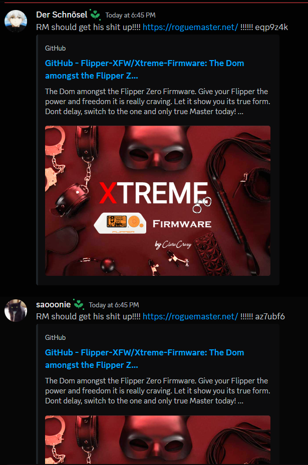 pointing out something · Issue #432 · Flipper-XFW/Xtreme-Firmware · GitHub