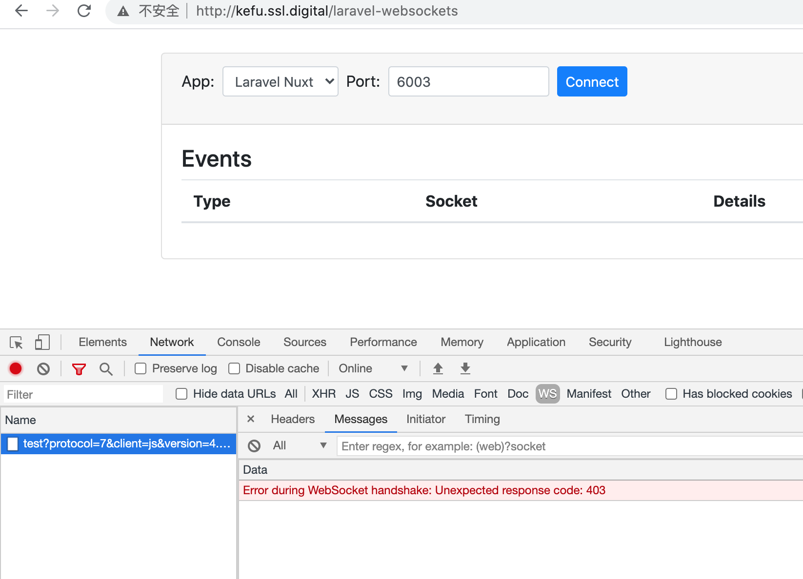 403 error · Issue #545 · beyondcode/laravel-websockets · GitHub