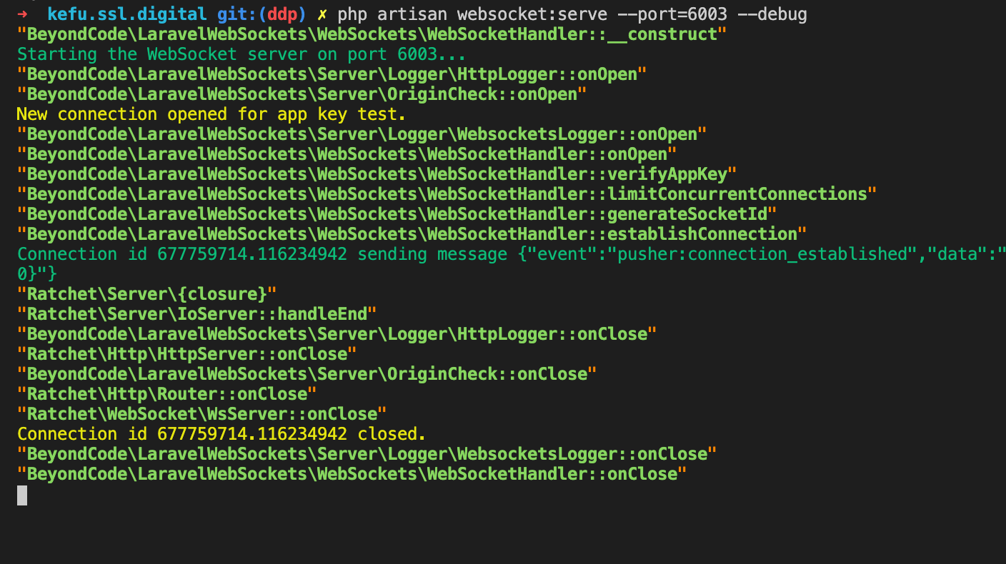 403 error · Issue #545 · beyondcode/laravel-websockets · GitHub