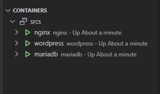 GitHub - rafalacerda1530/Inception: A Docker struct