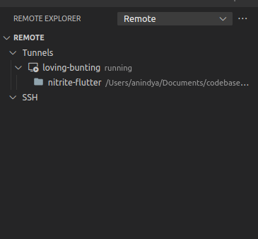 Failed to Connect to Remote Tunnel · Issue #7502 · microsoft/vscode-remote-release · GitHub