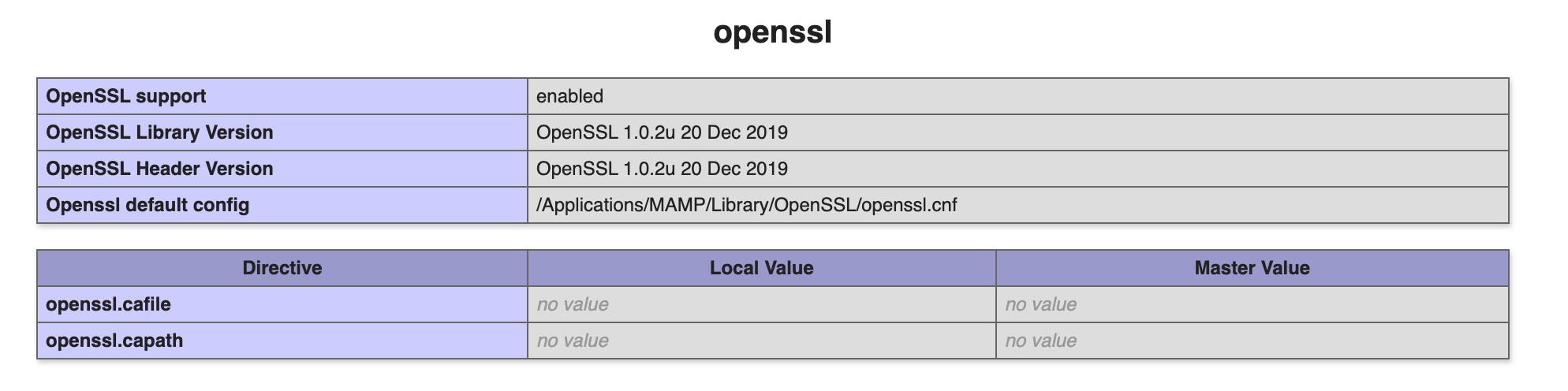 OpenSSL-bug for uppercase cipher names · Issue #38558 · laravel/framework · GitHub