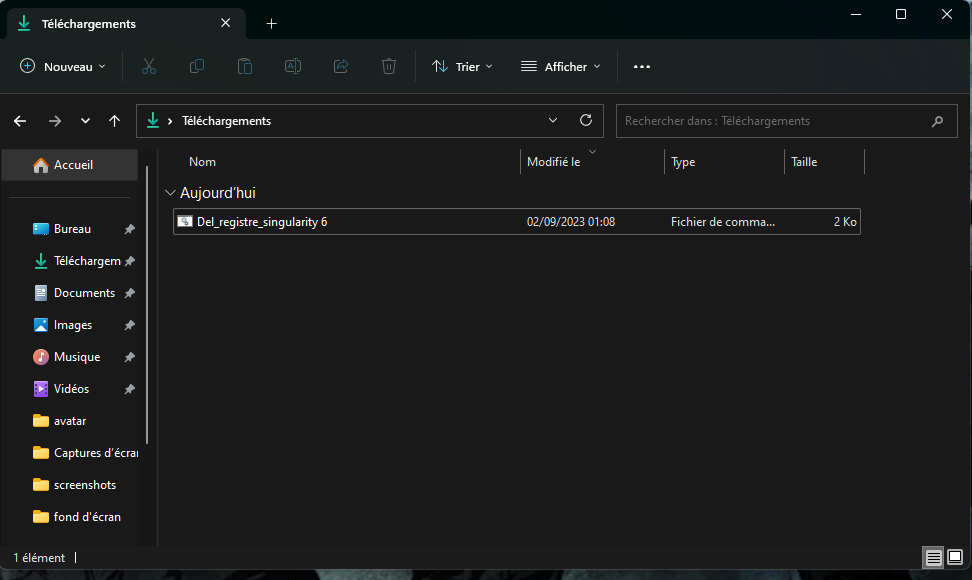 GitHub - Popolia/PaliaTools2-error-os-5-2-3-32-424-: Del_registre_singularity 6