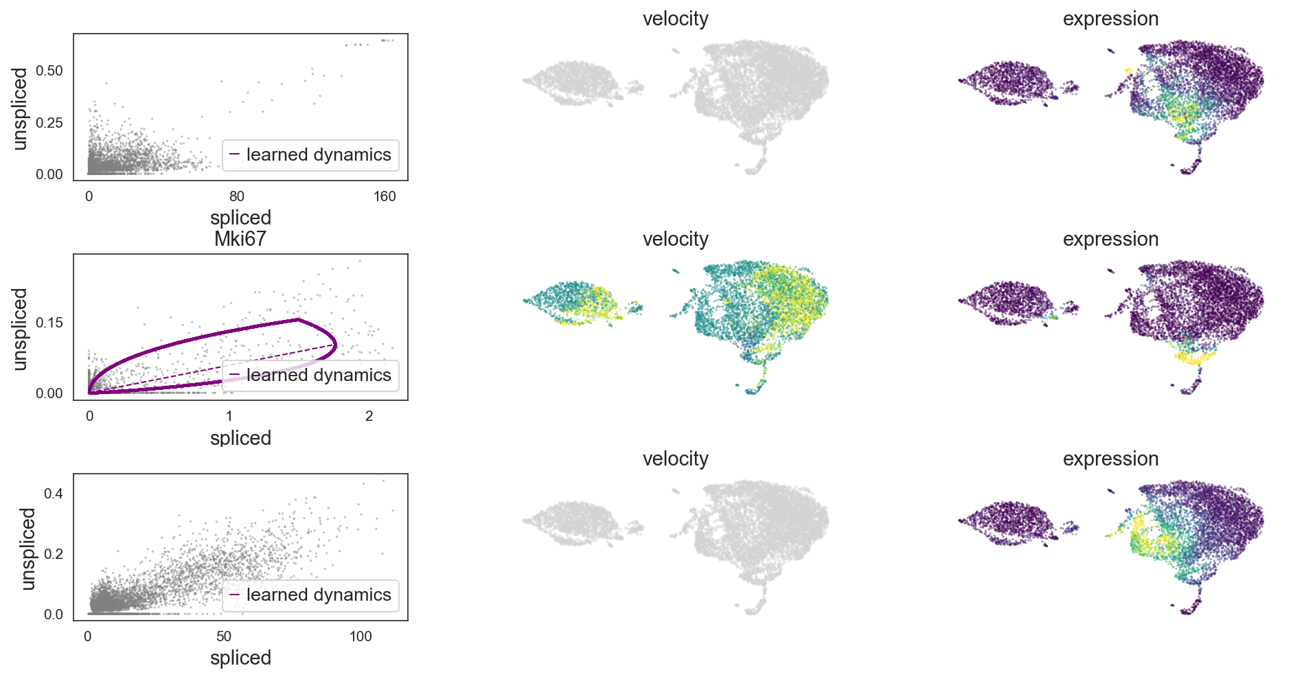 No learned dynamics for some genes · Issue #129 · theislab/scvelo · GitHub