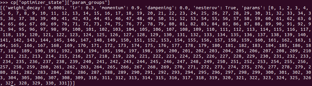 problem during optimizer.load_state_dict() · Issue #478 · facebookresearch/SlowFast · GitHub