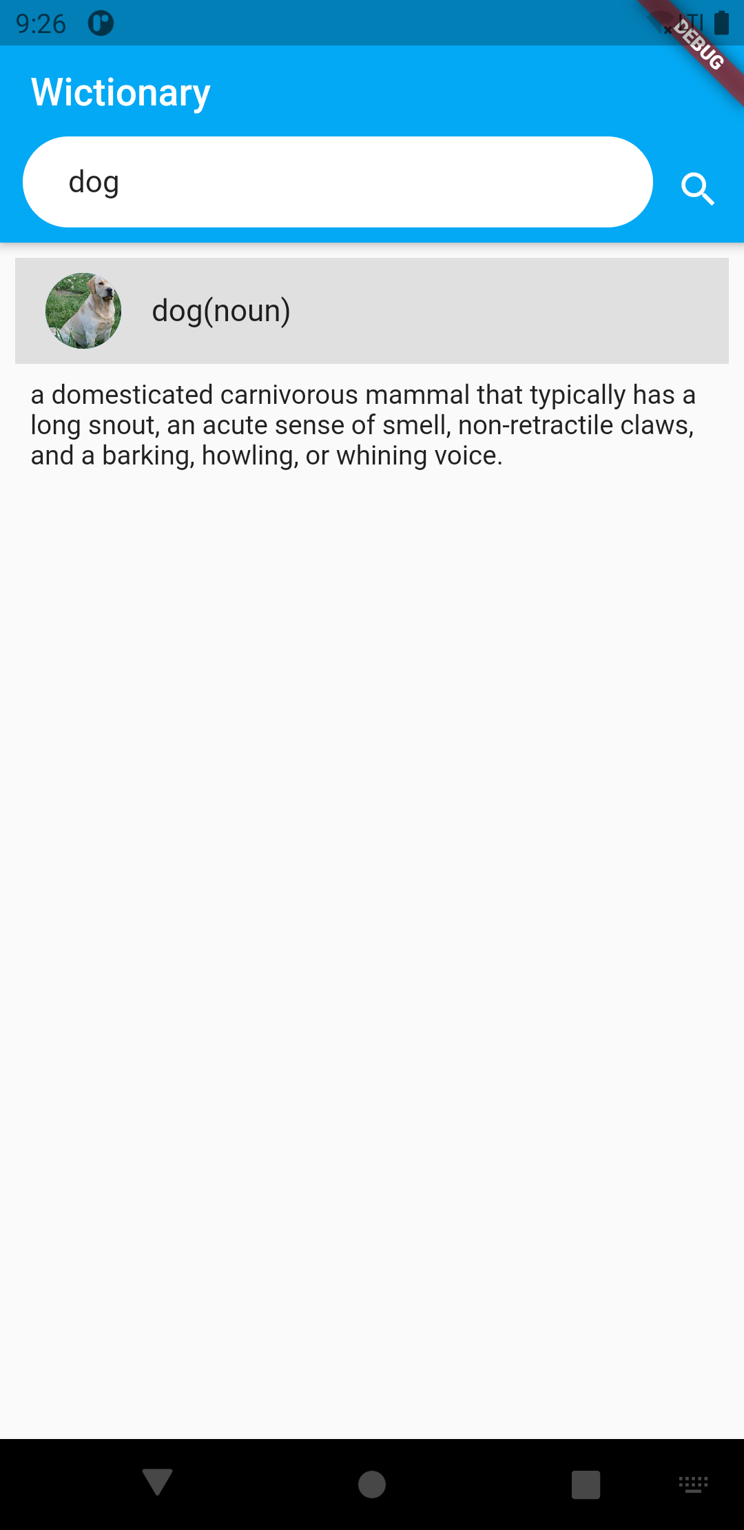 GitHub - Vordead/wictionary: Basic Dictionary flutter application that ...