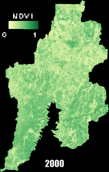 GitHub - anddewii/ndvi-lst-timeseries-anm: NDVI and LST Timeseries Animation