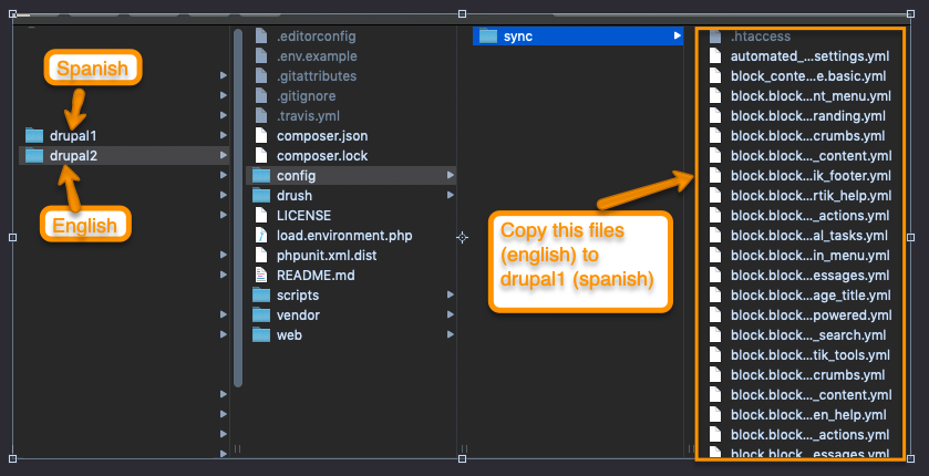 [config:import] Fails when skip-validate-site-uuid: true and default lang is not english · Issue ...