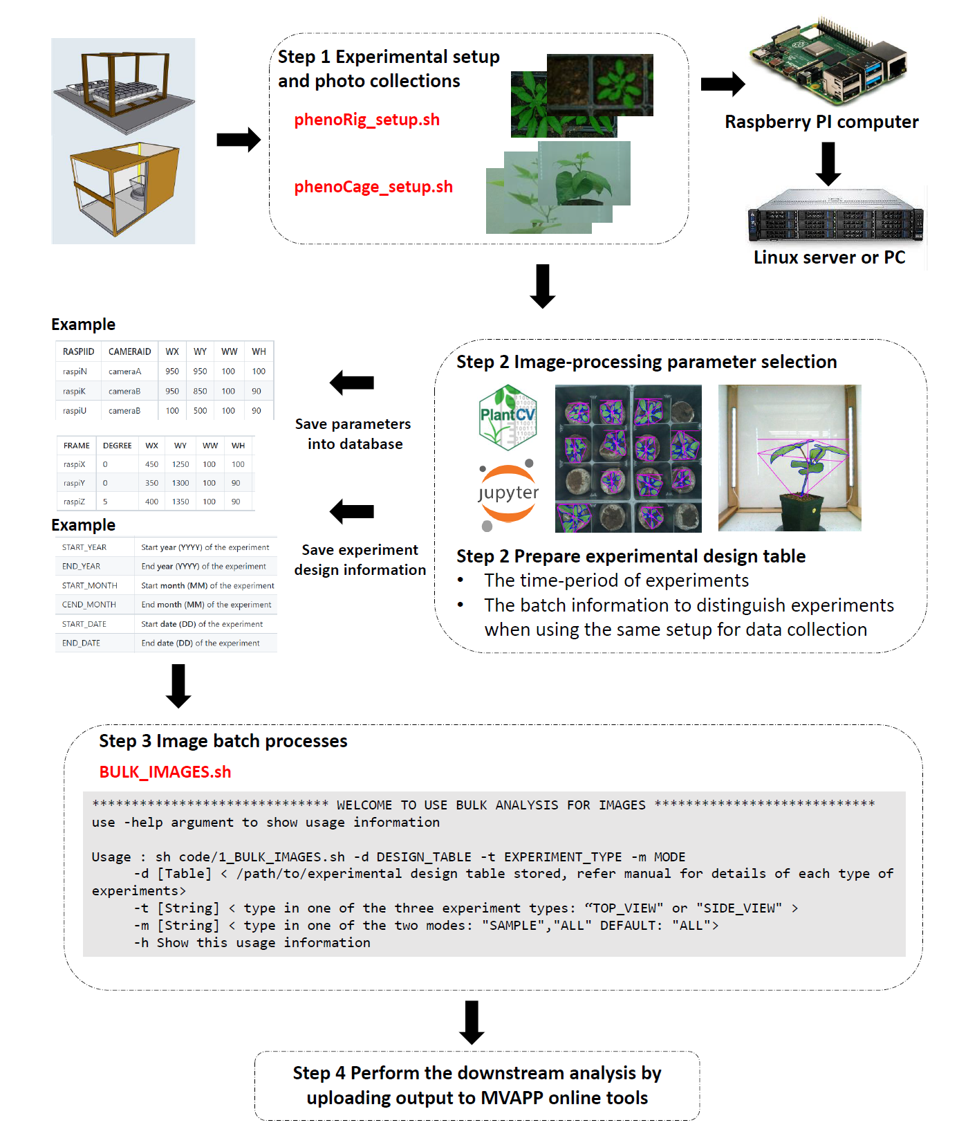 GitHub - Leon-Yu0320/BTI-Plant-phenotyping: Computational pipeline for ...