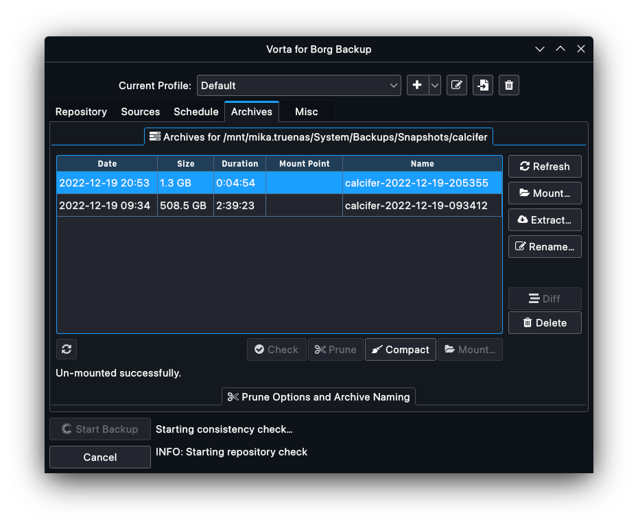 FR: Show progress on consistency check · Issue #1497 · borgbase/vorta · GitHub