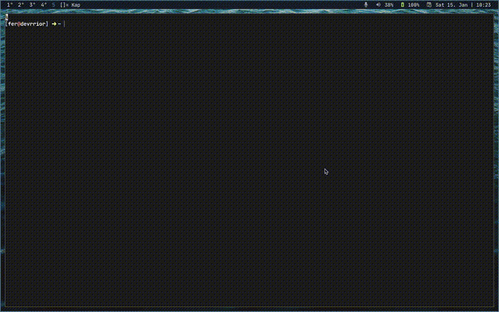Problems with unexpected application closure · Issue #1126 · koekeishiya/yabai · GitHub